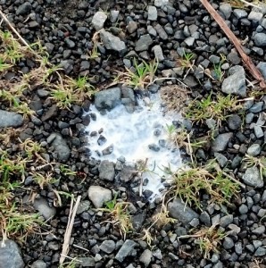 Thursday, September 20, 2012 | Frank and Barb's Blog